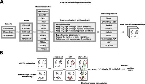 Overview Of The Evaluation Protocol A We Build The Count Matrix Using Download Scientific