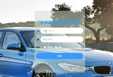 Javaphpnodejspython车辆保险管理系统【2024年毕设】 Csdn博客