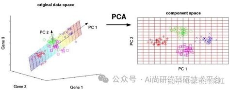 【大语言模型chatgpt python】近红外光谱数据分析及机器学习与深度学习建模（近红外光谱数据分析、定性 定量分析模型代码自动生成等） 知乎