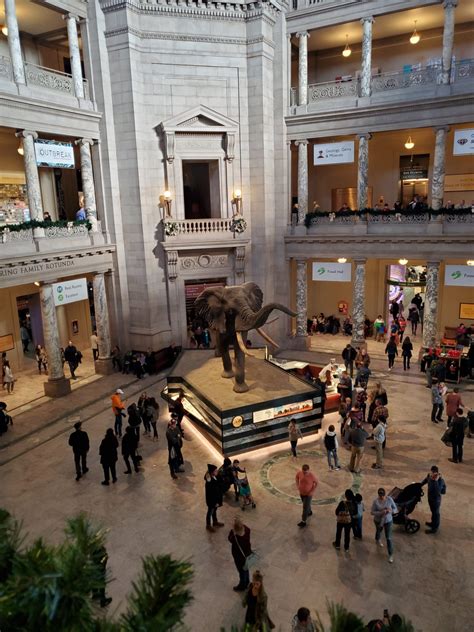 Smithsonian Museum Of Natural History