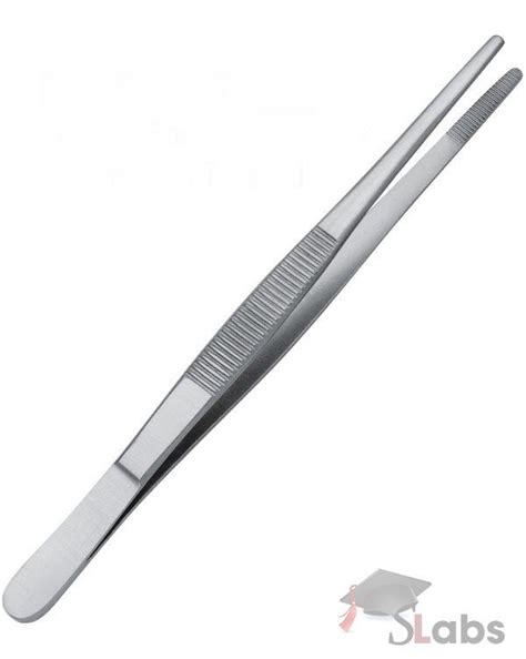 Forceps Plain Scholars Labs