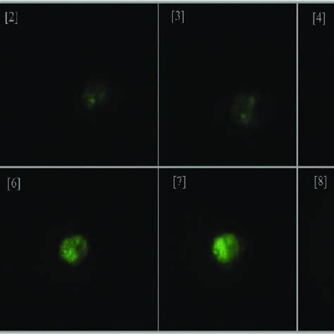 Sequence Of Field Emission Microscope Pattern Images As The Applied Download Scientific