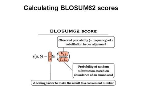 construction of substitution matrices blosum blocks substitution matrix
