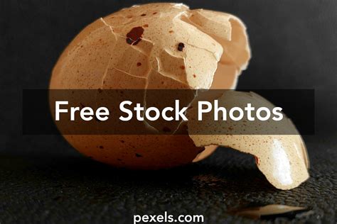 Shell Fracture Photos Download The Best Free Shell Fracture Stock