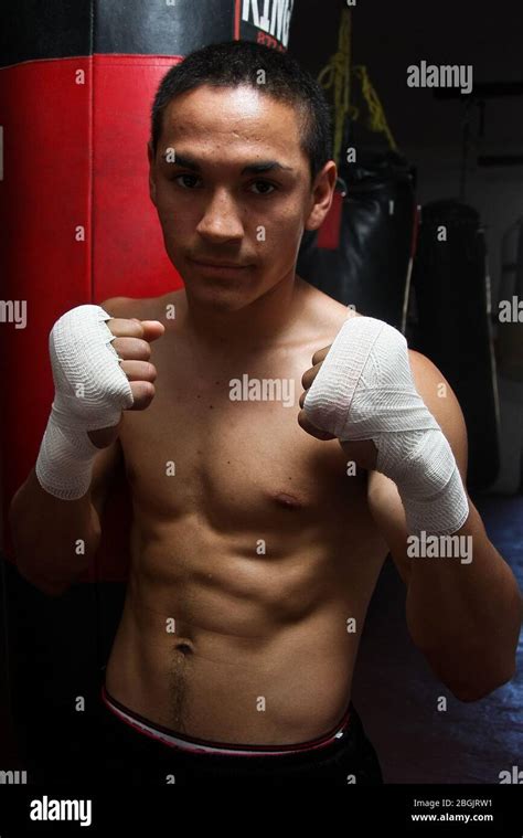 Juan Francisco Estrada Mexican Professional Boxer Professional Boxer Juan Francisco El Gallo