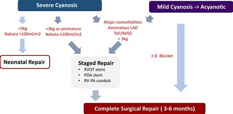 Optimal Surgical Management Of Tetralogy Of Fallot Cjc Pediatric And