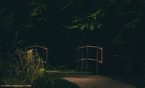 Mini Bridge Rpictures