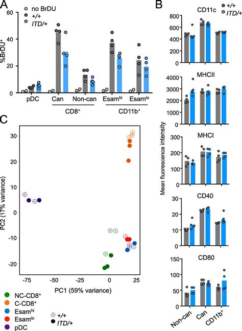 Flt ITD DCs Show Normal Proliferation Rate And Expression Profile Download Scientific