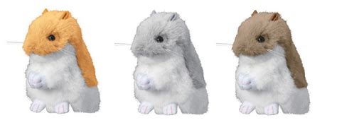 Robo Dwarf Hamster At Petsmart