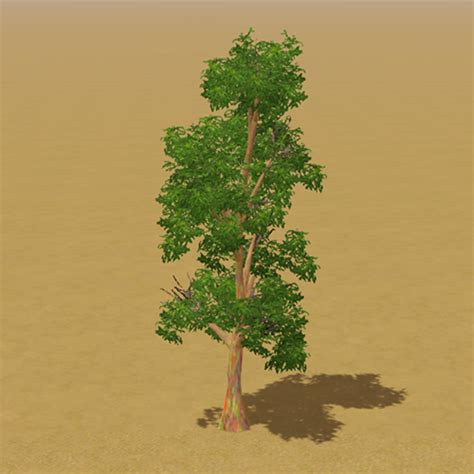 File CAW Treerainboweucalyptus IP Png SimsWiki