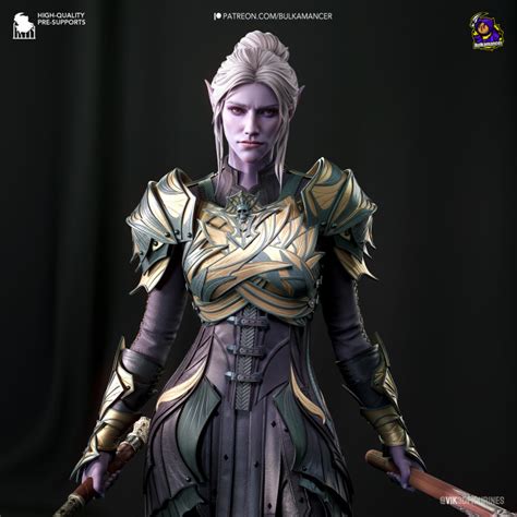 Elven Paladin Female