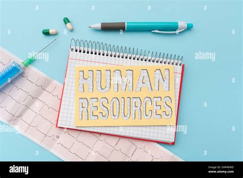Writing Displaying Text Human Resources Business Approach The Showing Who Make Up The Workforce