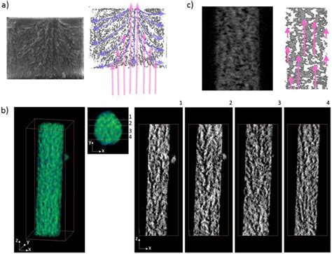 A Cross Section Sem Micrographs Of 400 500 Nm Porous Si Nw Showing