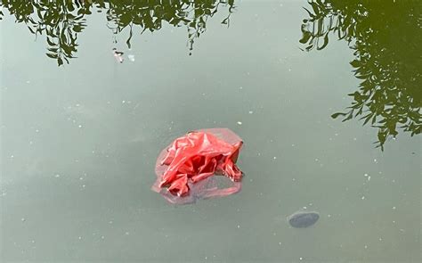 880 Dataset Sampah Plastik Object Detection Dataset By Farel Workspace