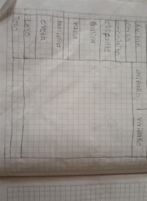 Completa La Tabla Según Corresponda Brainlylat