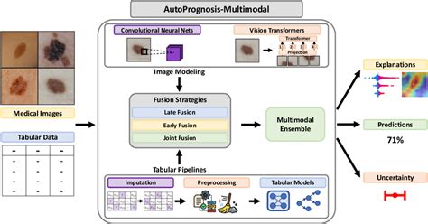 figure 2 from automated ensemble multimodal machine learning for healthcare semantic scholar