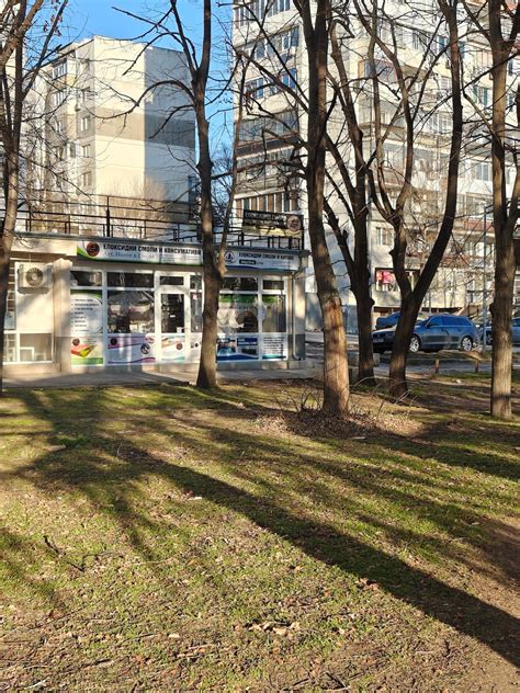 Oneplus Vs Iphone Pro Max Will This Ever Be Settled Phonearena