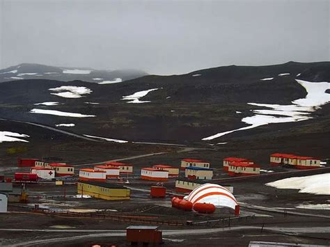 Why Do Doctors Have To Remove Appendix Before Going To Antarctica