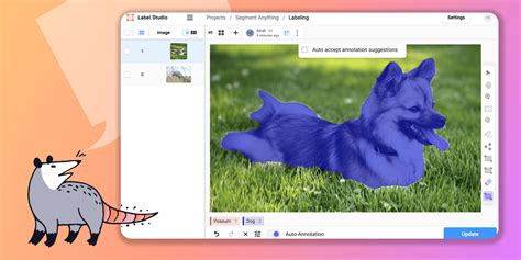 Getting started using segment anything | Label Studio