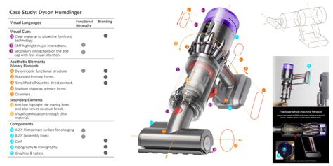 Dyson Anatomy Poradora