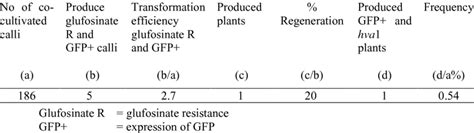 Efficiency Of Rice Transformation By A Tumefaciens Eha105