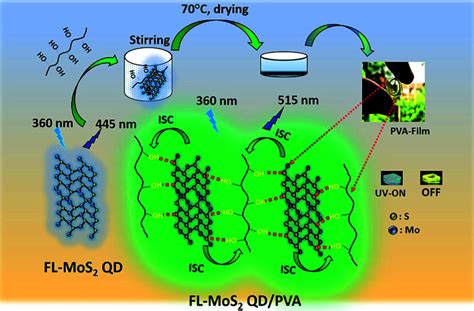 Phosphorescent Mos2 Quantum Dots As A Temperature Sensor And Security Ink Pmc