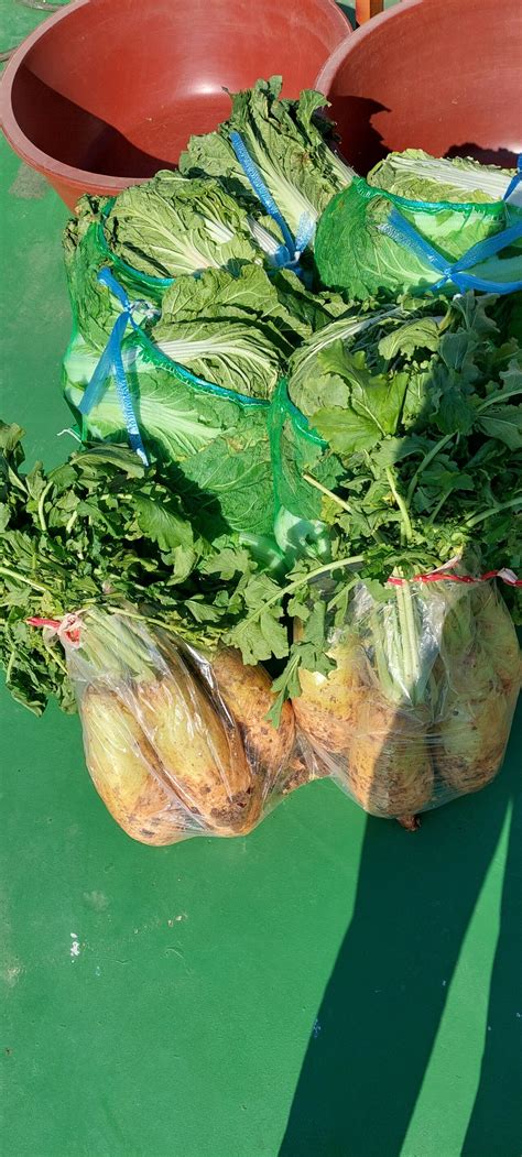 이것도 운동인가 운동 건강 아싸 에펨코리아