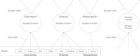 A Generic Example Of The Types Of Nodes In The Enn The Three Input Download Scientific Diagram