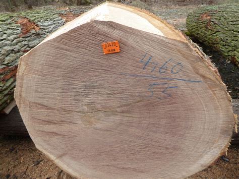 Die Technischen Eigenschaften Von Eichenholz