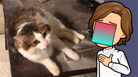 Just Another Day With The Squish Youtube