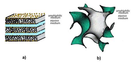 A Schematic Representation Of The Lamellar Phase Of A Lyotropic Liquid