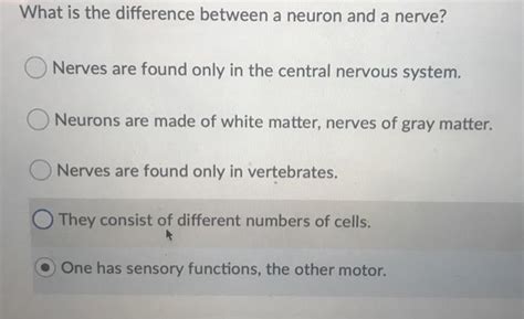 Solved What Is The Difference Between A Neuron And A Nerve Chegg