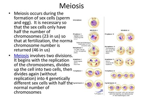 Biology Keystone Exam Review Packet Ppt Download