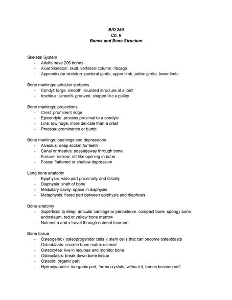 Bio 260 Ch6 Notes Bio 260 Ch 6 Bones And Bone Structure Skeletal