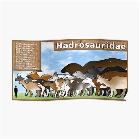 Hadrosauridae Size Chart Poster For Sale By Charyzard Redbubble