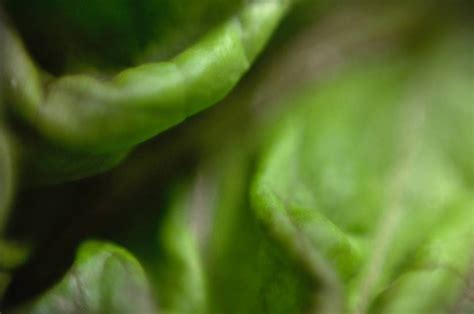 Photography Workflow In Linux Darktable Part 1 James Cockroft