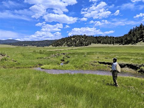 10 Essential Tips Before Visiting Ted Turners 11 Million Acres Of