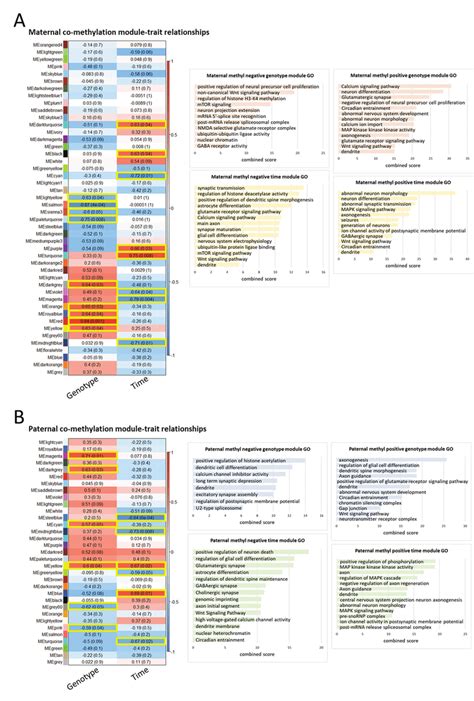 Wgcna Methylation Module And Trait Correlation Heatmaps And Go Terms