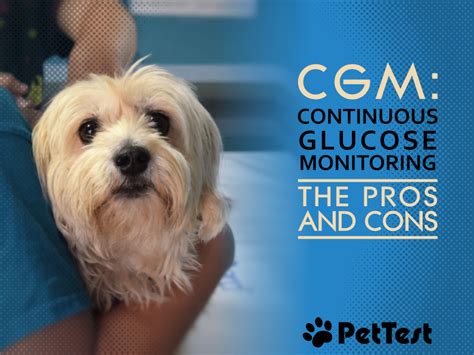 CGM Continuous Glucose Monitoring The Pros And Cons PetTest By Advocate