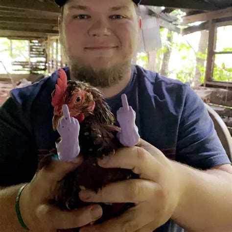 You Can Get Middle Finger Muscle Arms For Your Chickens That Have Attitude
