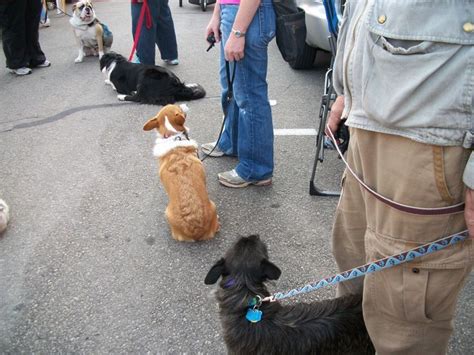 Pin Van Felt With A Heart Op Xx Rufus