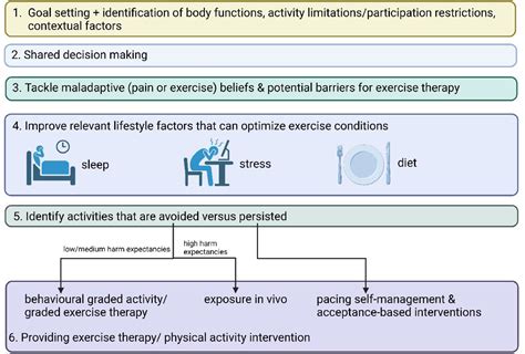 Exercise Therapy And Physical Activity In The Paradigm Shift From A Tissue And Disease Based