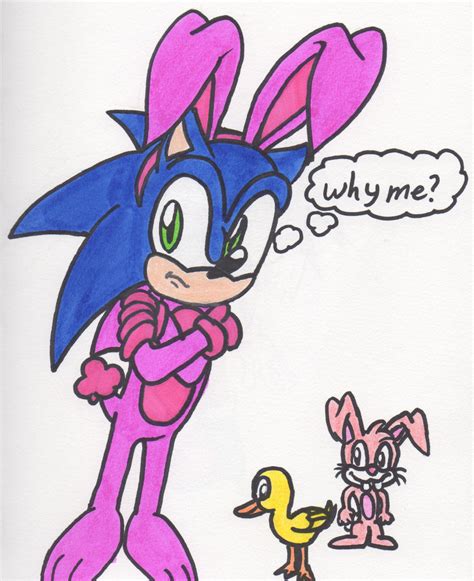 Sonic The Bunny By Piplup88908 On Deviantart