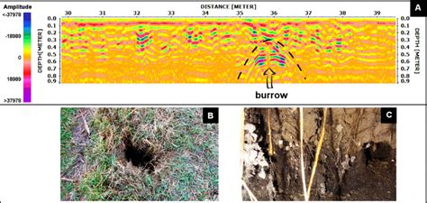 Tunnel Detected After Data Processing Its Imaging On The Radargram A