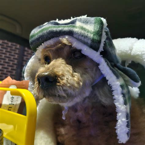 필리핀 관광부 서울지역 필리핀 아테네오 대학교 입학 시험 안내 필리핀 아테네오 대학은 150여년의 역사를 가진 유명한 사립대학으로 현재 필리핀의 정재계를 움직이는