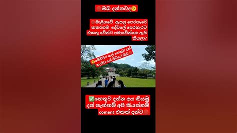 🙏ව්ශ්ව ශක්තිය වැඩ්ම තැන😌දළදා හාමුදුරුවෝ පිහිටයි සියලු දෙනාට🙏ඒ සත්‍යය ගියපු අය දන්නවා😌 Maligawa