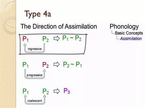 Assimilation In English Language Pdf