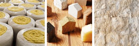 Massachusetts Insulation Cleanouts Burgess Pest Management