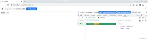 添加vue Devtools扩展工具添加后f12不显示vue图标
