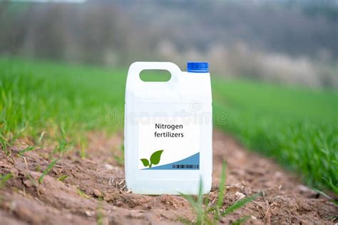 Nitrogen Fertilizers Fertilizers That Provide Nitrogen An Essential Stock Image Image Of
